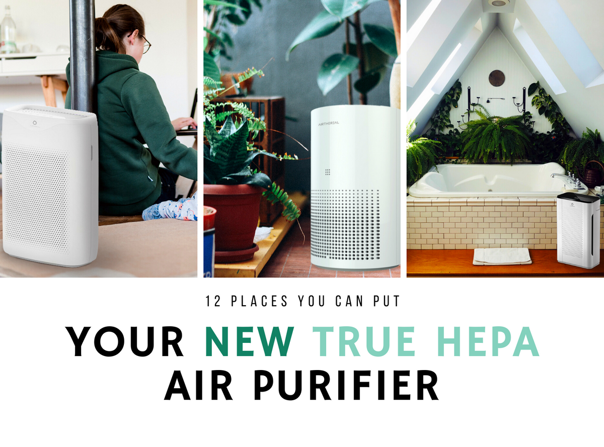 12 Places You Can Put Your New True HEPA Air Purifier – Airthereal