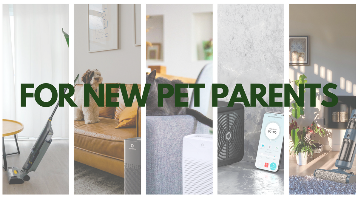 Beginner’s Cleaning Advice For New Pet Parents – Airthereal